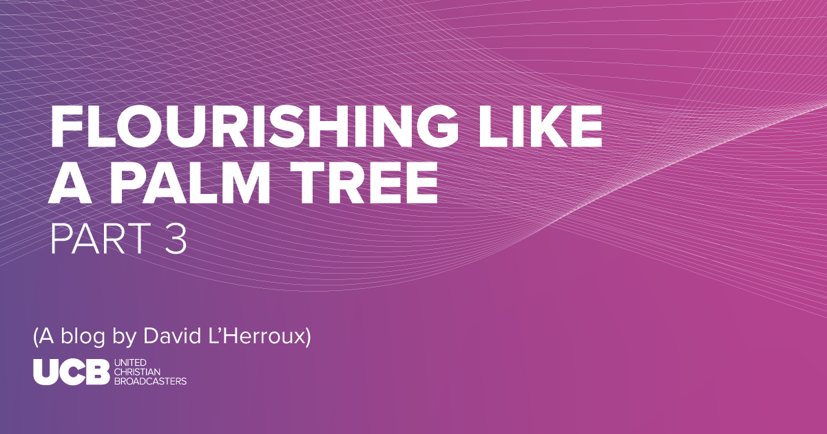 Flourishing like a palm tree – Part 3 | David L'Herroux
